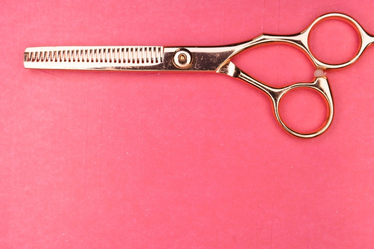 10 Ways to Sharpen Hair Scissors & Keep Them Sharp: Professional Tips ...